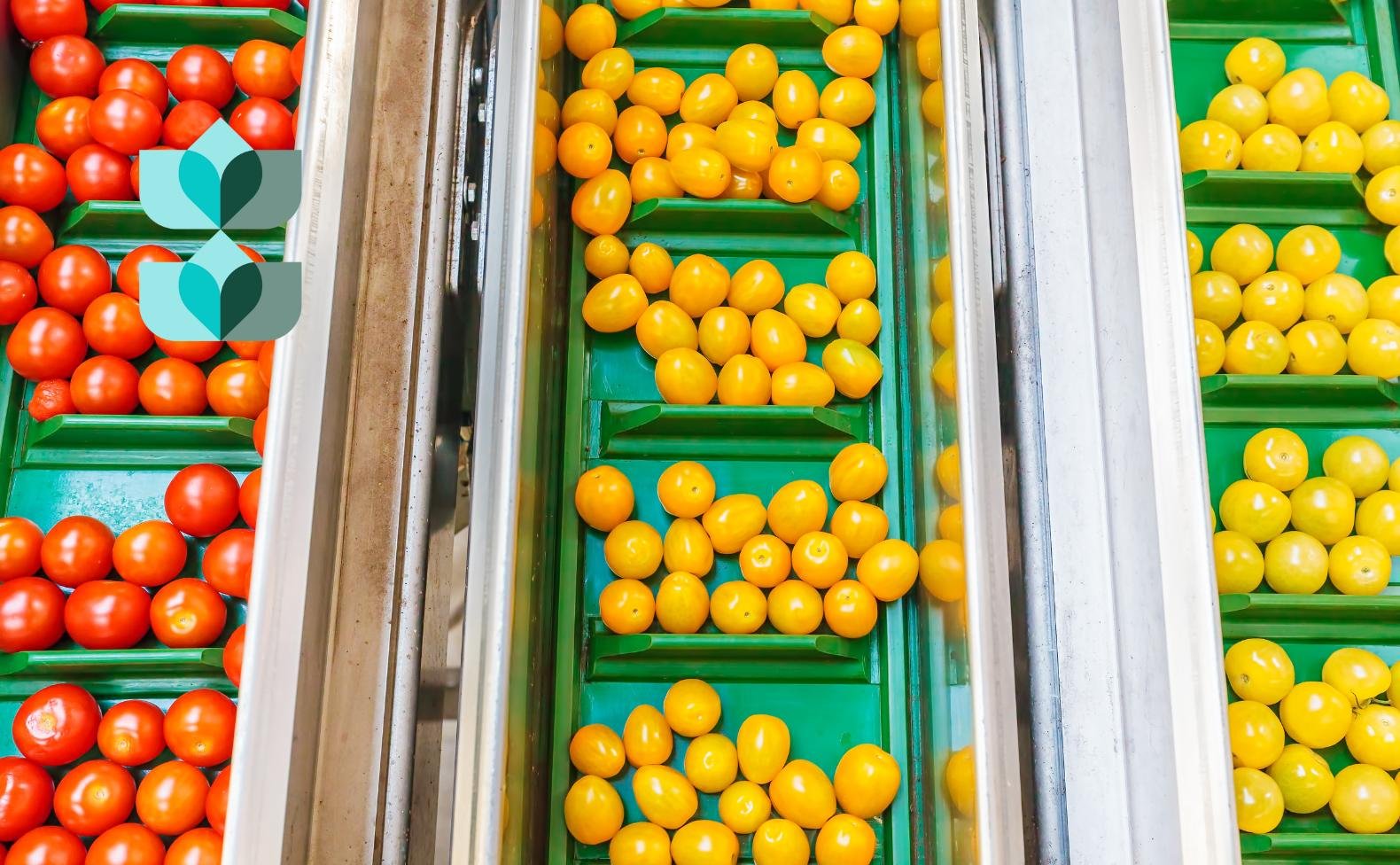 Production Scheduling Software: Optimizing Manufacturing Efficiency